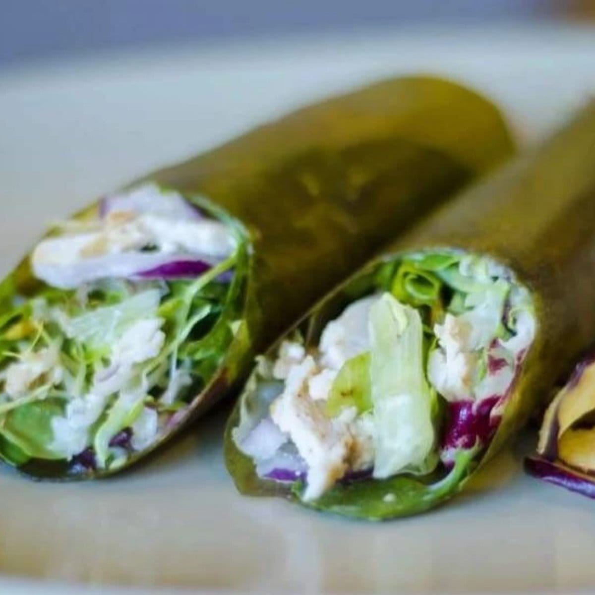 NewGem Foods GemWraps